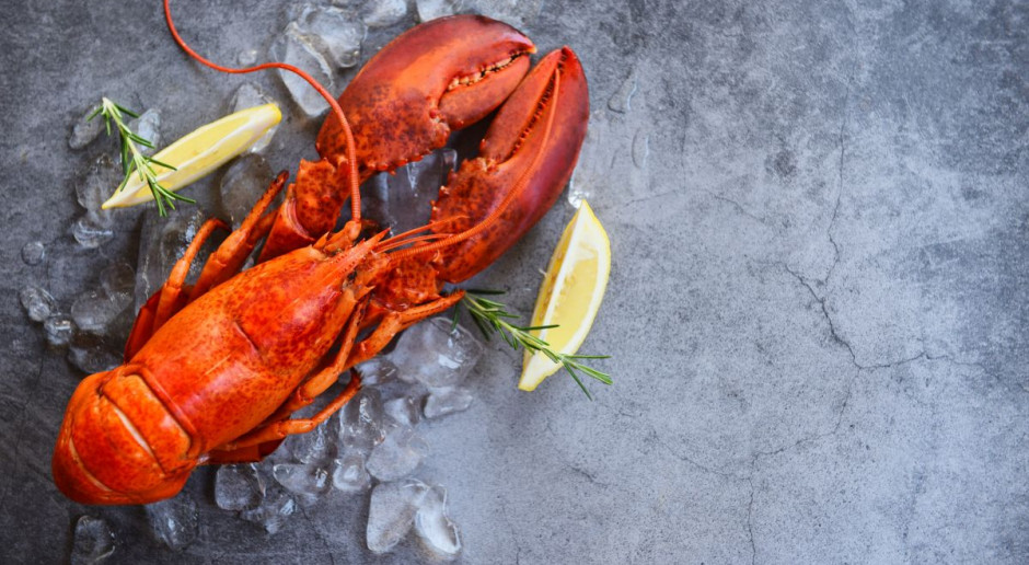 25 września to Dzień Homara