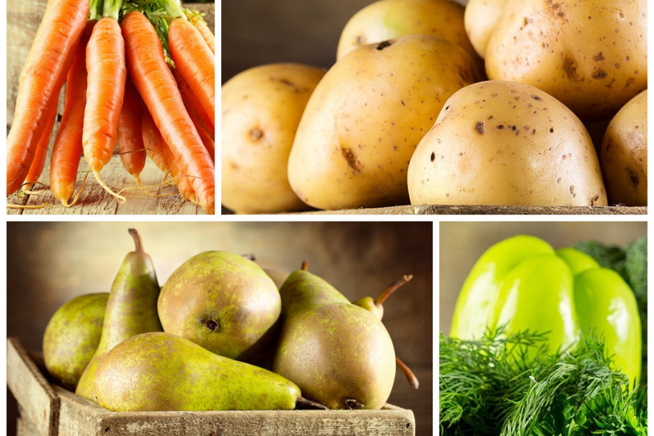 4 pory roku na talerzu. Znani szefowie kuchni stawiają na sezonowość