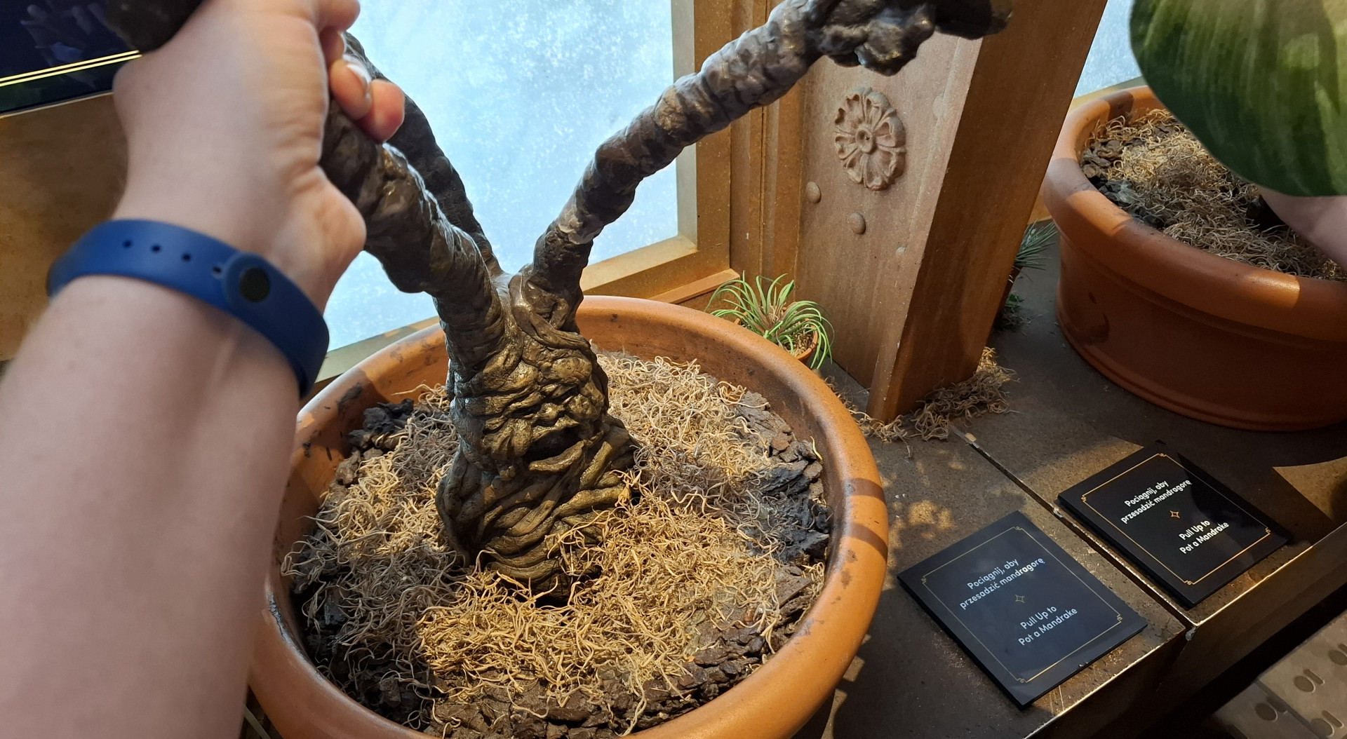 Na "Harry Potter: The Exhibition" zjeżdżają Mugole z całej Polski ...